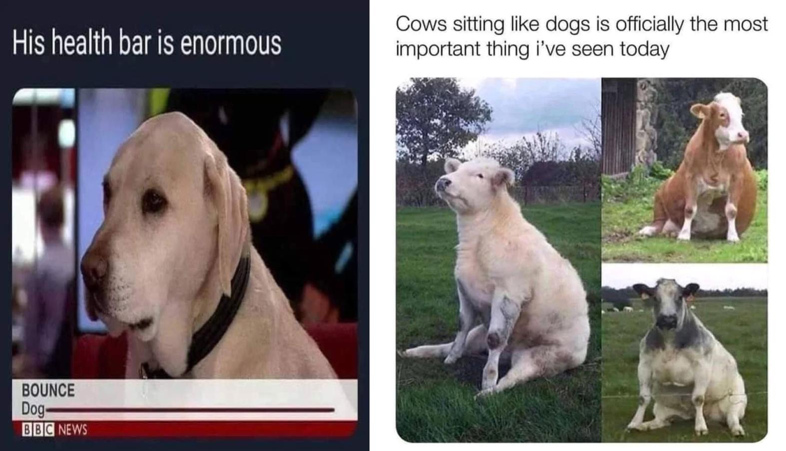 11 Blessed Images To Sanctify Your Feed | Know Your Meme