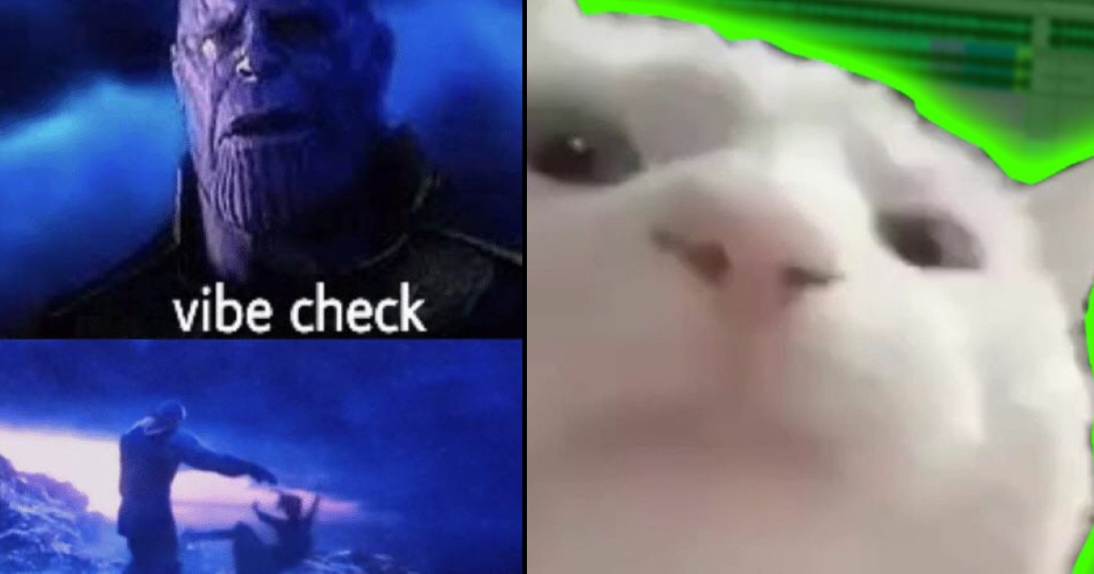 From Vibe Checks To Vibe Shifts: The Endless Trolling Of 'The Vibe ...