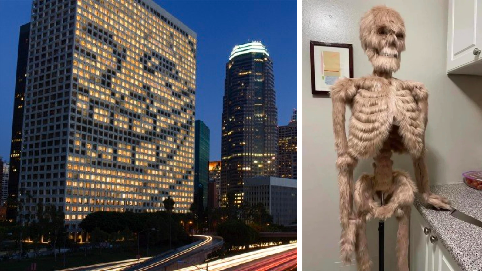 15 Bizarre Photos That Don't Look Real | Know Your Meme