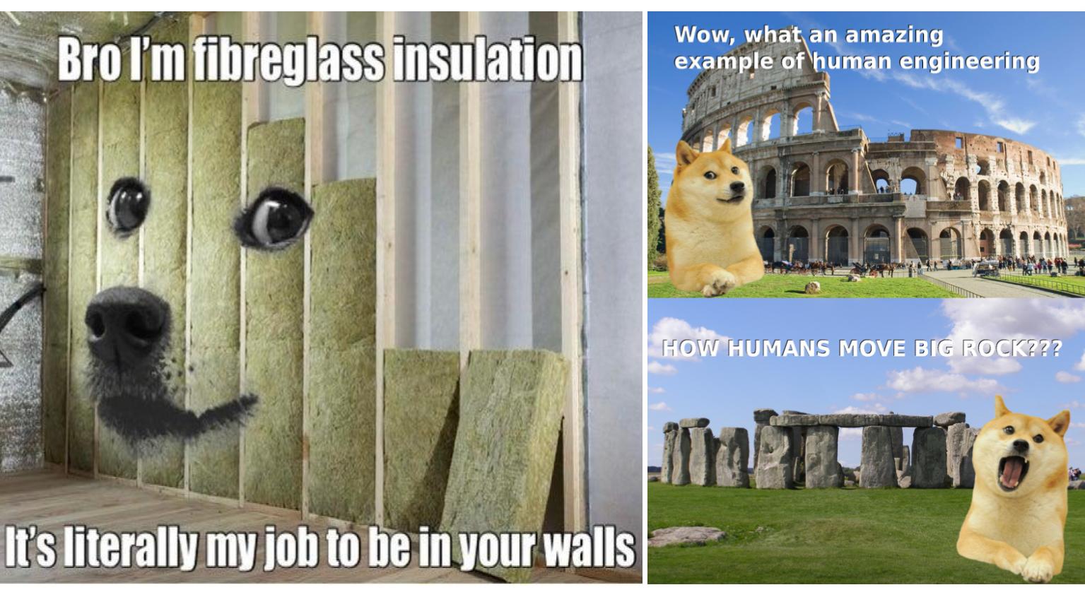 13 'Dogelore' Memes From The Extended Universe Of Doge | Know Your Meme