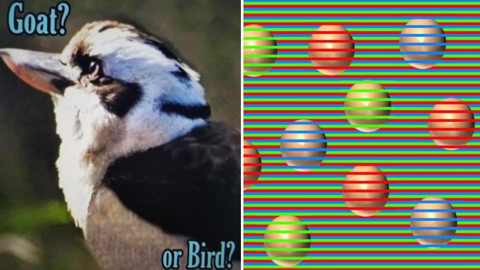 10 Optical Illusions That Messed With Our Heads | Know Your Meme