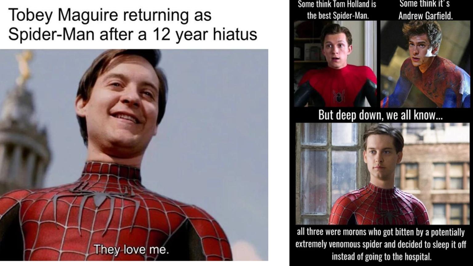 19 Spider-Man Memes To Get Tangled In | Know Your Meme