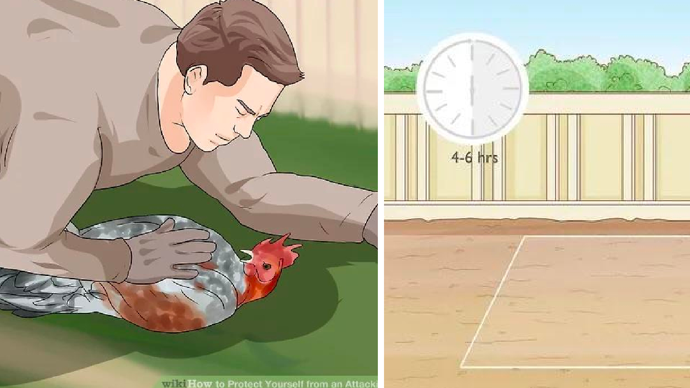 10 Wacky WikiHow Illustrations For Your Amusement | Know Your Meme
