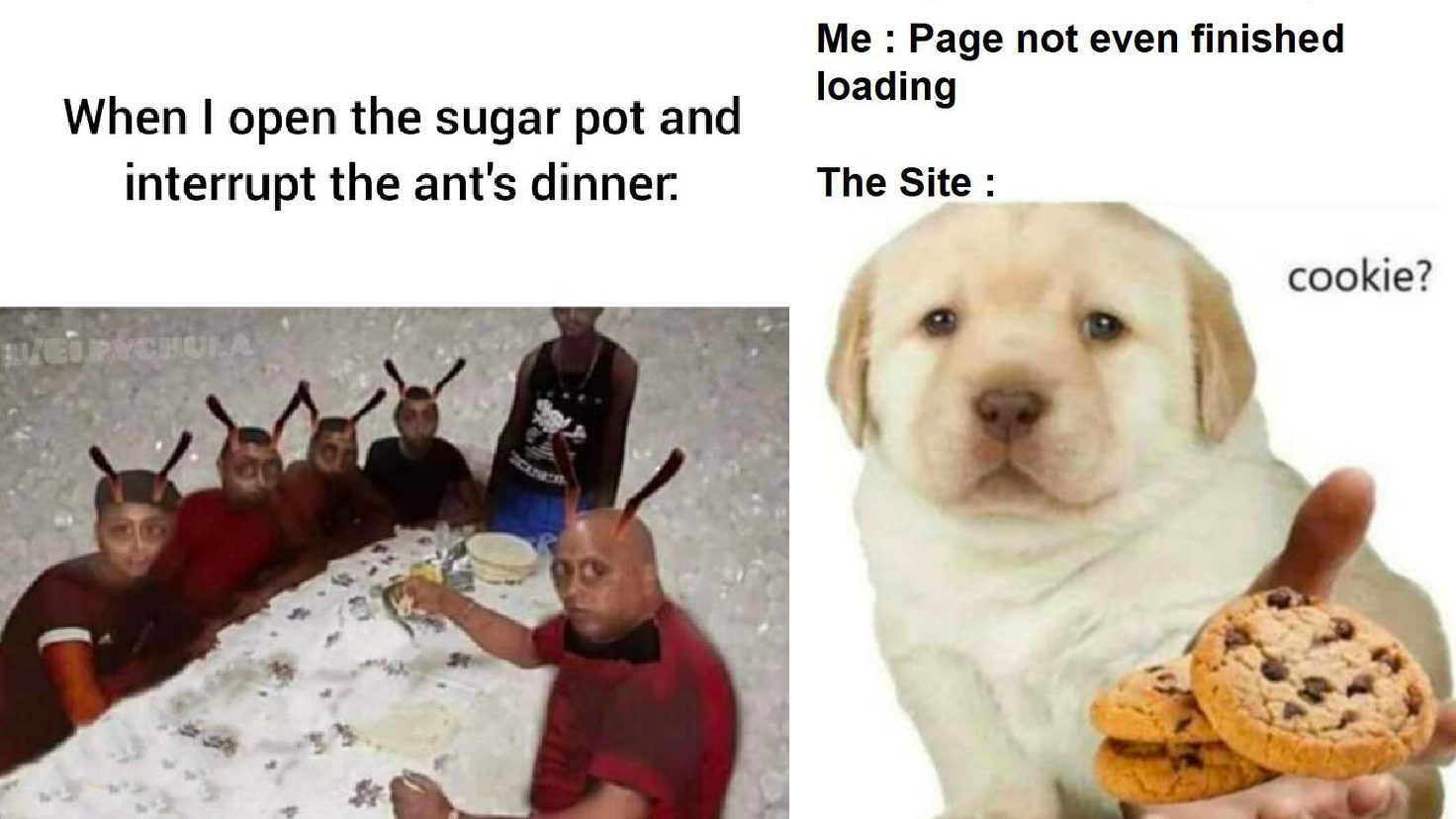 This Month's 10 Best Memes From Reddit's 'Dank Memes' | Know Your Meme