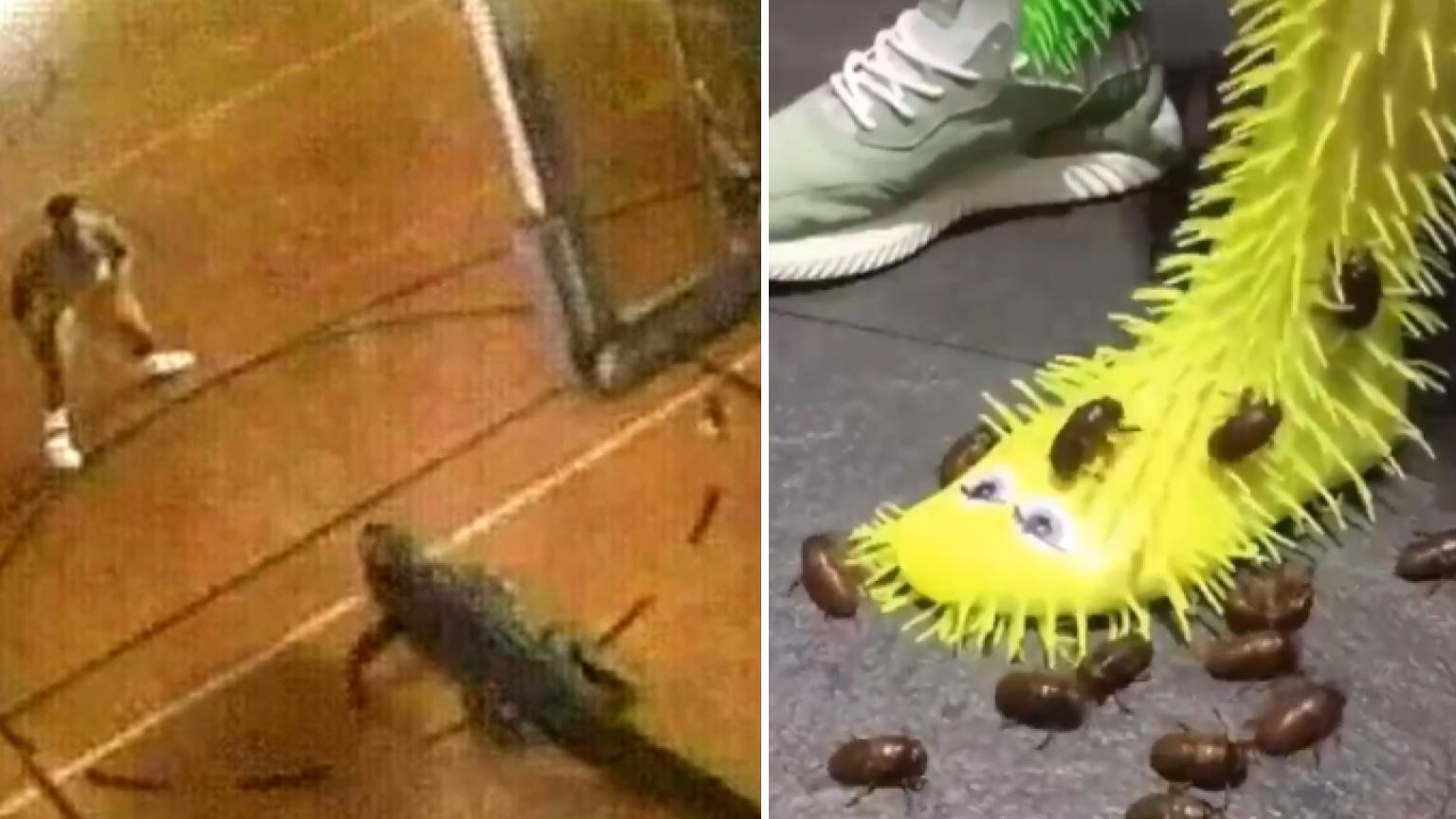 14 Cursed Images For A Disturbing Start To Your Weekend | Know Your Meme