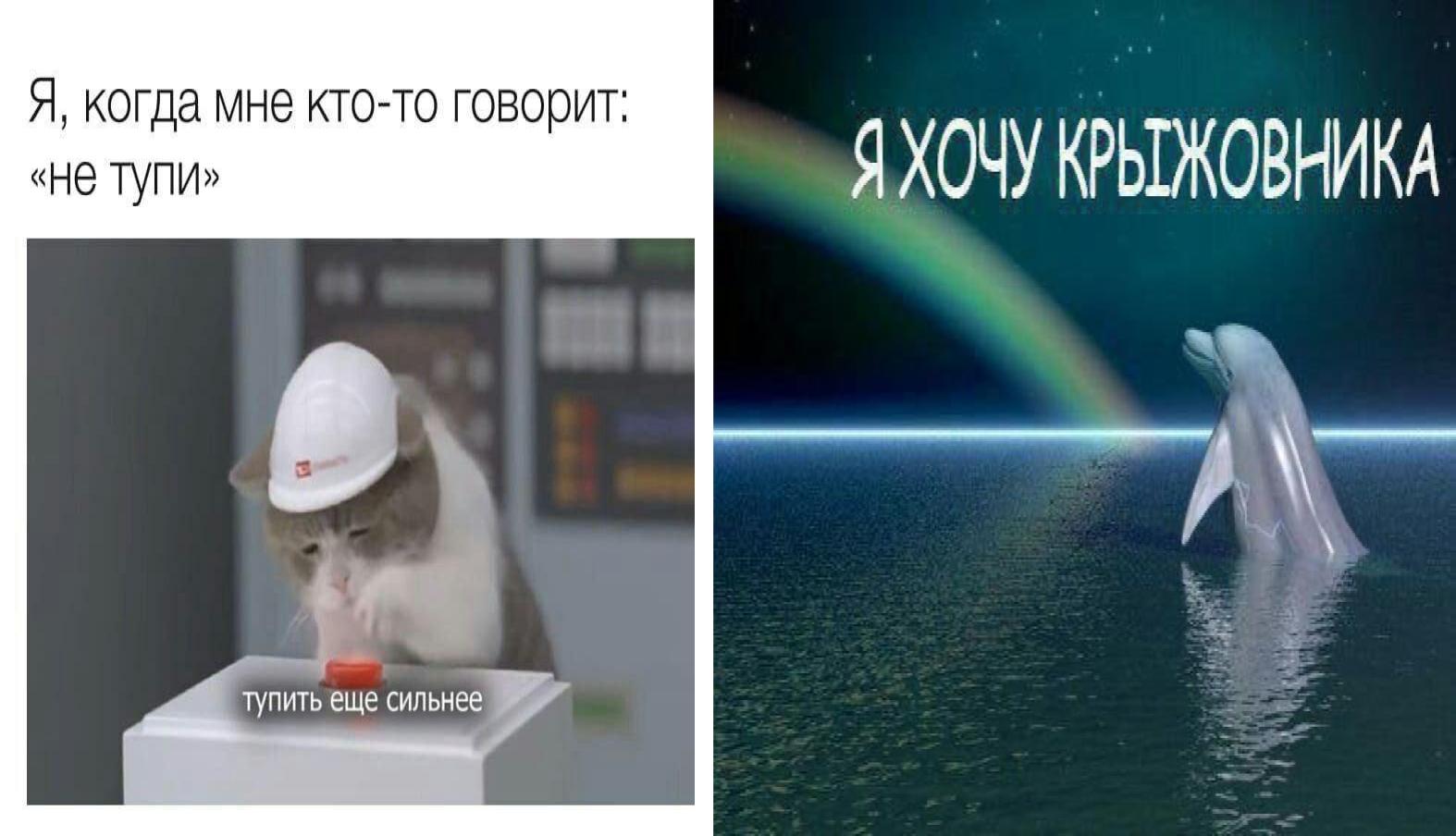 10 Russian-Language Memes That Translate Perfectly | Know Your Meme