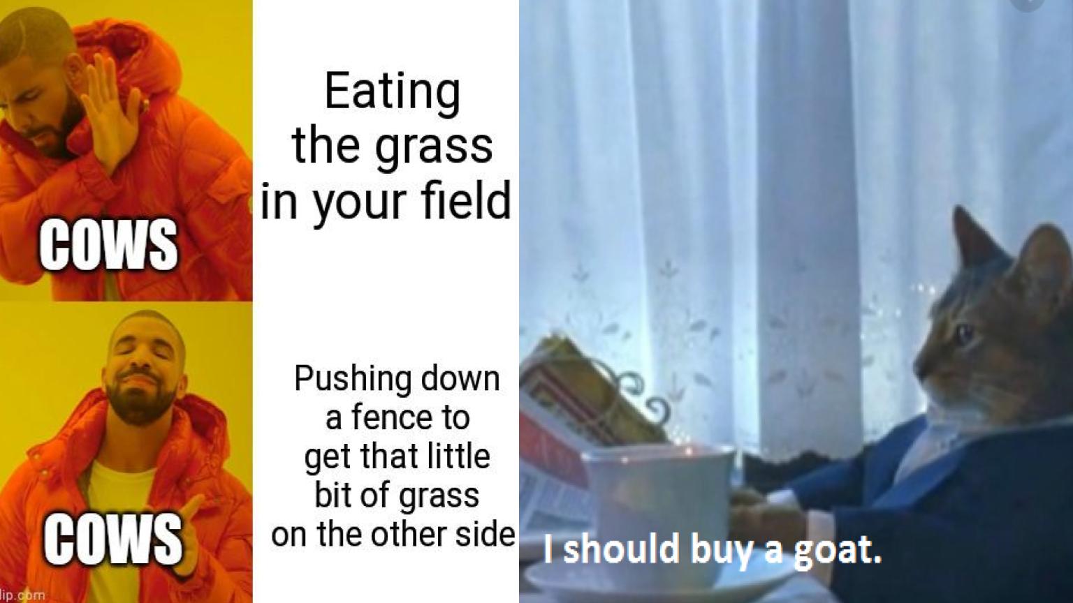 10 Memes From Farmers Who Are Outstanding In Their Fields | Know Your Meme