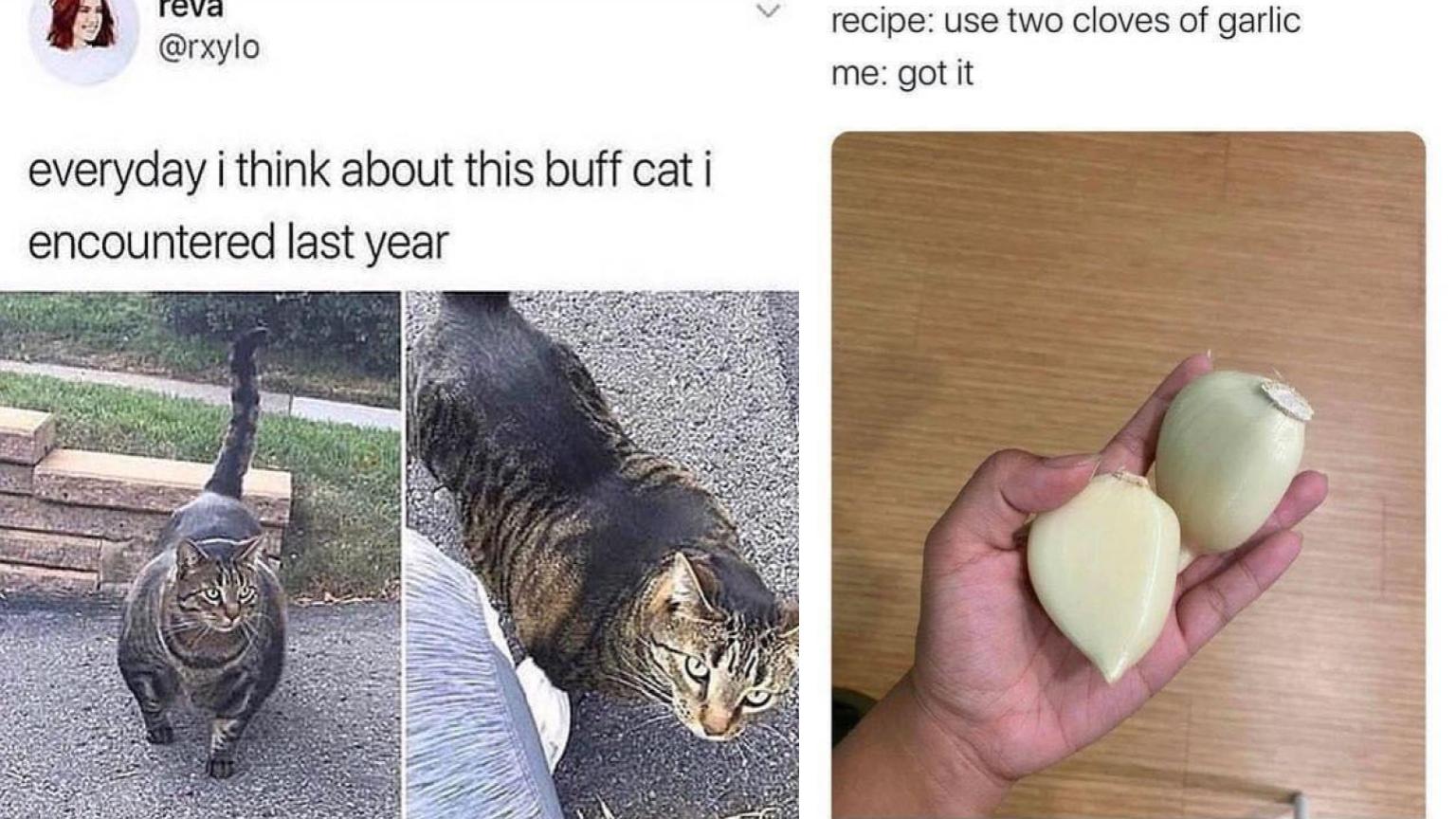 10 Bizarre Absolute Units Accompanied By Poetic Tributes | Know Your Meme