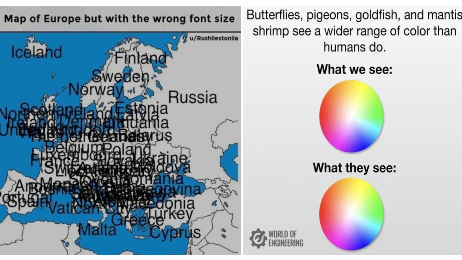 10 Things That Are Absolutely Not Interesting | Know Your Meme