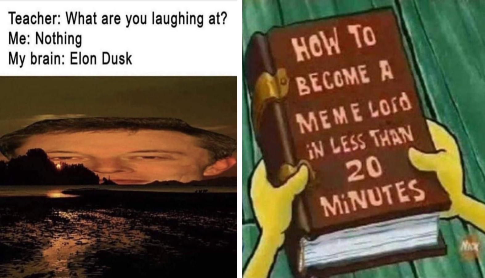 10 Steps In Elon Musk's Evolution As A Memer | Know Your Meme