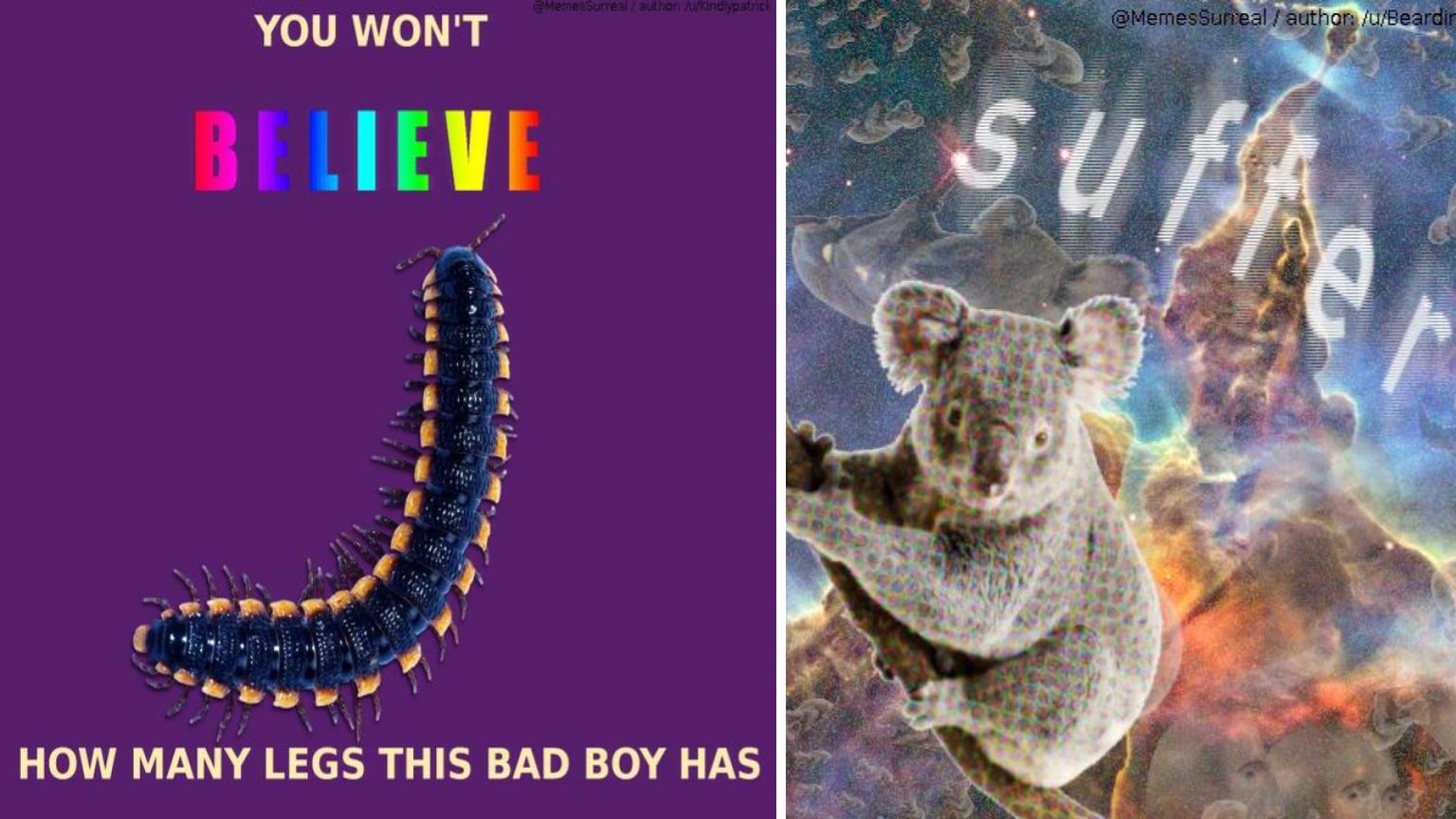 10 Surreal Memes To Simulate Thought And Conversation | Know Your Meme