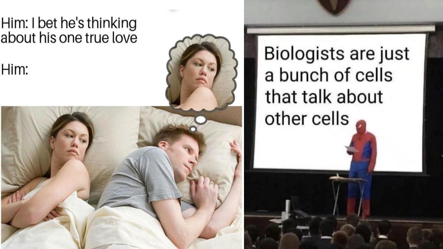 10 Clean Memes You Could Show Your Grandma | Know Your Meme
