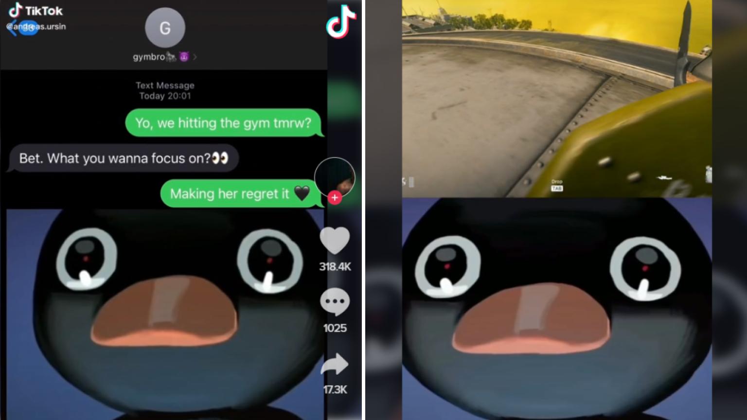 10 New Terrified Noot Noot Memes From The Depths Of TikTok Know 