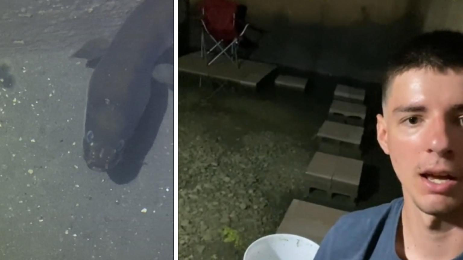 10 Of The Best Eel Pit TikToks For Eel Day | Know Your Meme