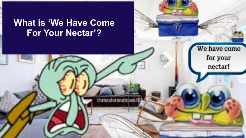 What Is Going On With 'We Have Come For Your Nectar' Memes? | Know Your ...