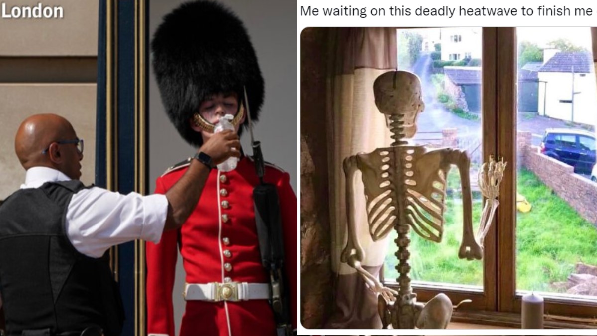 10 Heat Wave Memes Hotter Than Your Car Hood | Know Your Meme