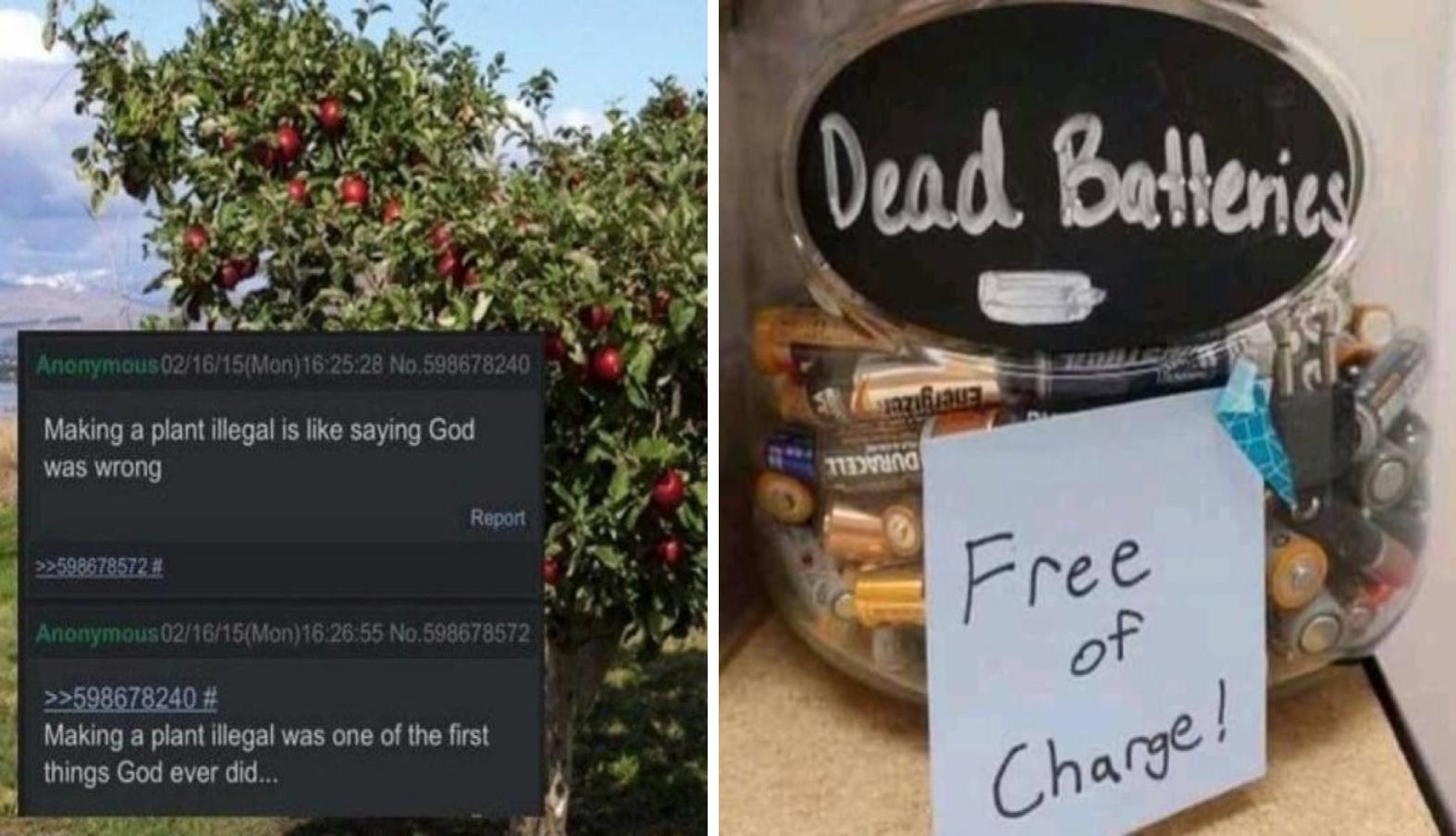 10 Hilarious Internet Moments That Were 'Technically The Truth' | Know ...