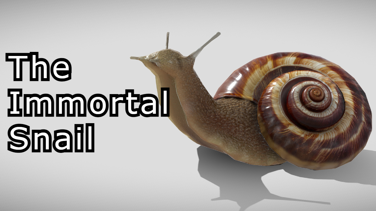 What Is The 'Immortal Snail' And How Can You Avoid Its Touch? | Know ...