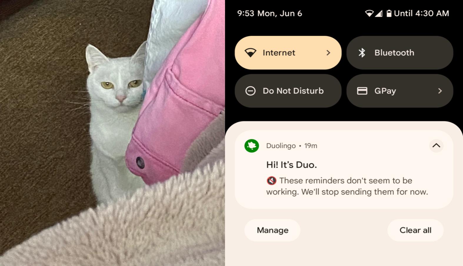 10 Memorable Moments Of Passive Aggression | Know Your Meme