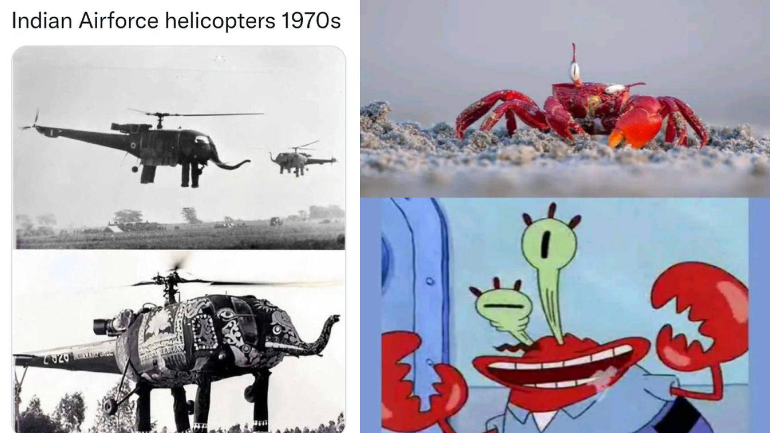 15 Blursed Images Weird Enough To Love | Know Your Meme