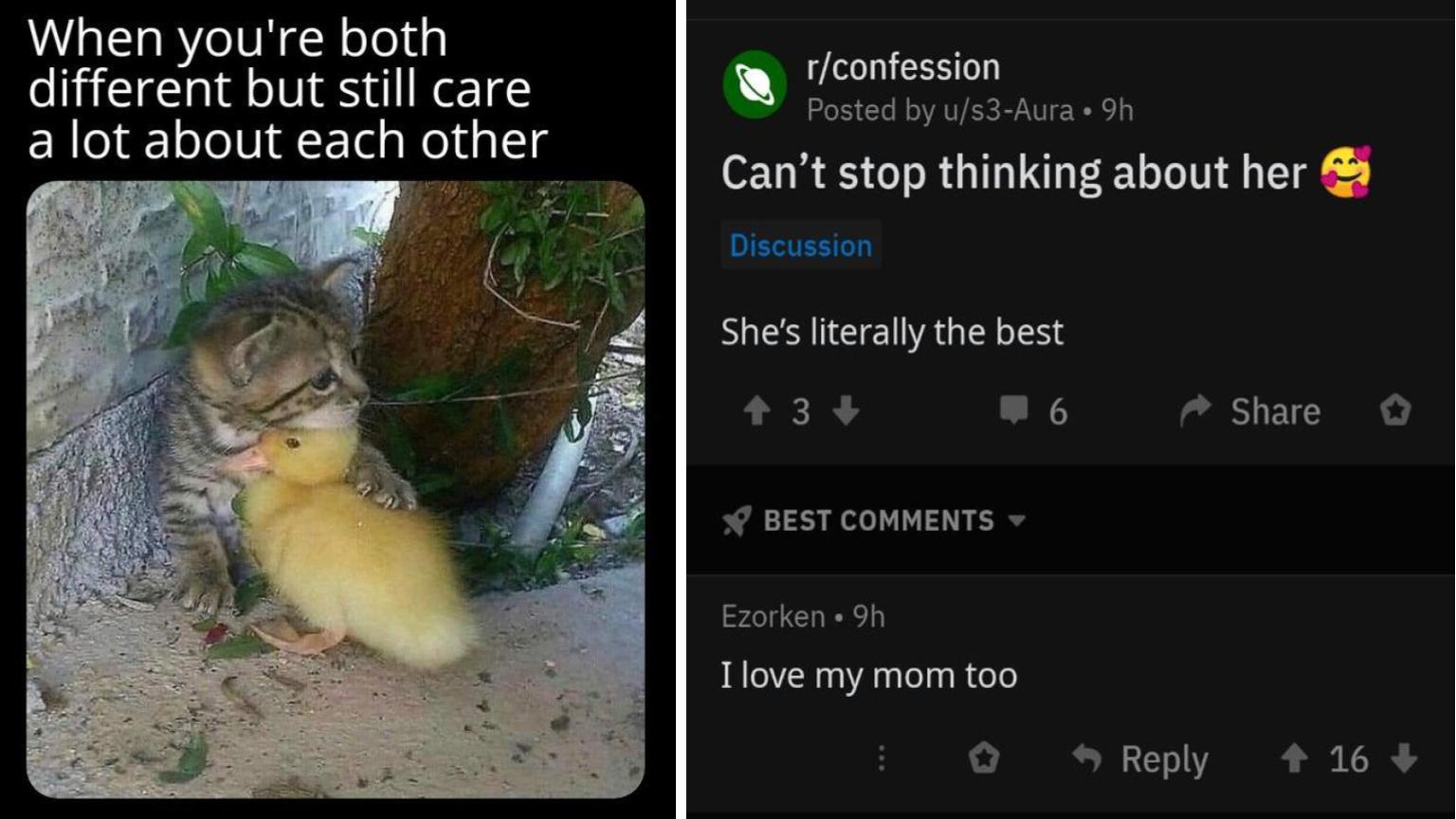 15 Wholesome Memes To End The Week On A Good Note | Know Your Meme