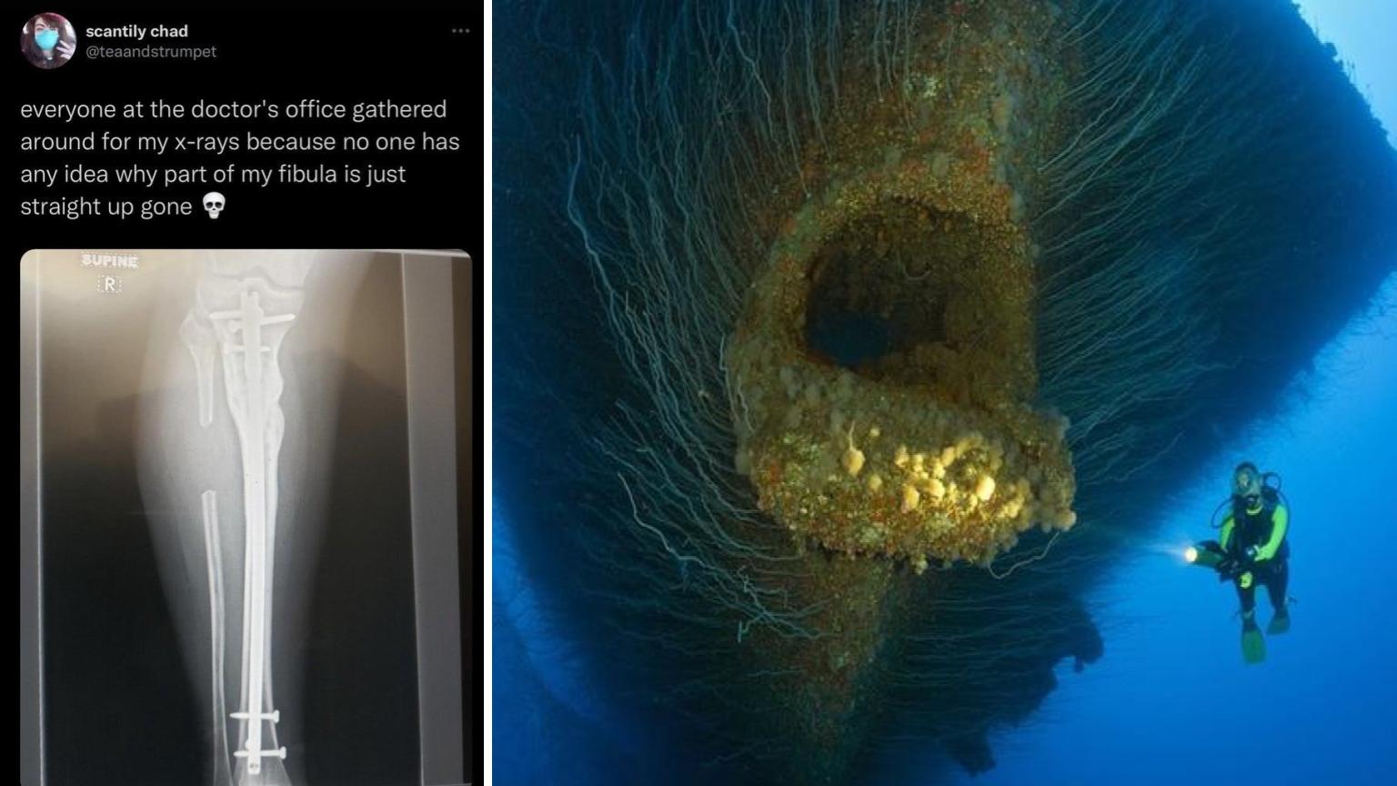 15 Unnerving Images Of Allegedly Ordinary Things | Know Your Meme