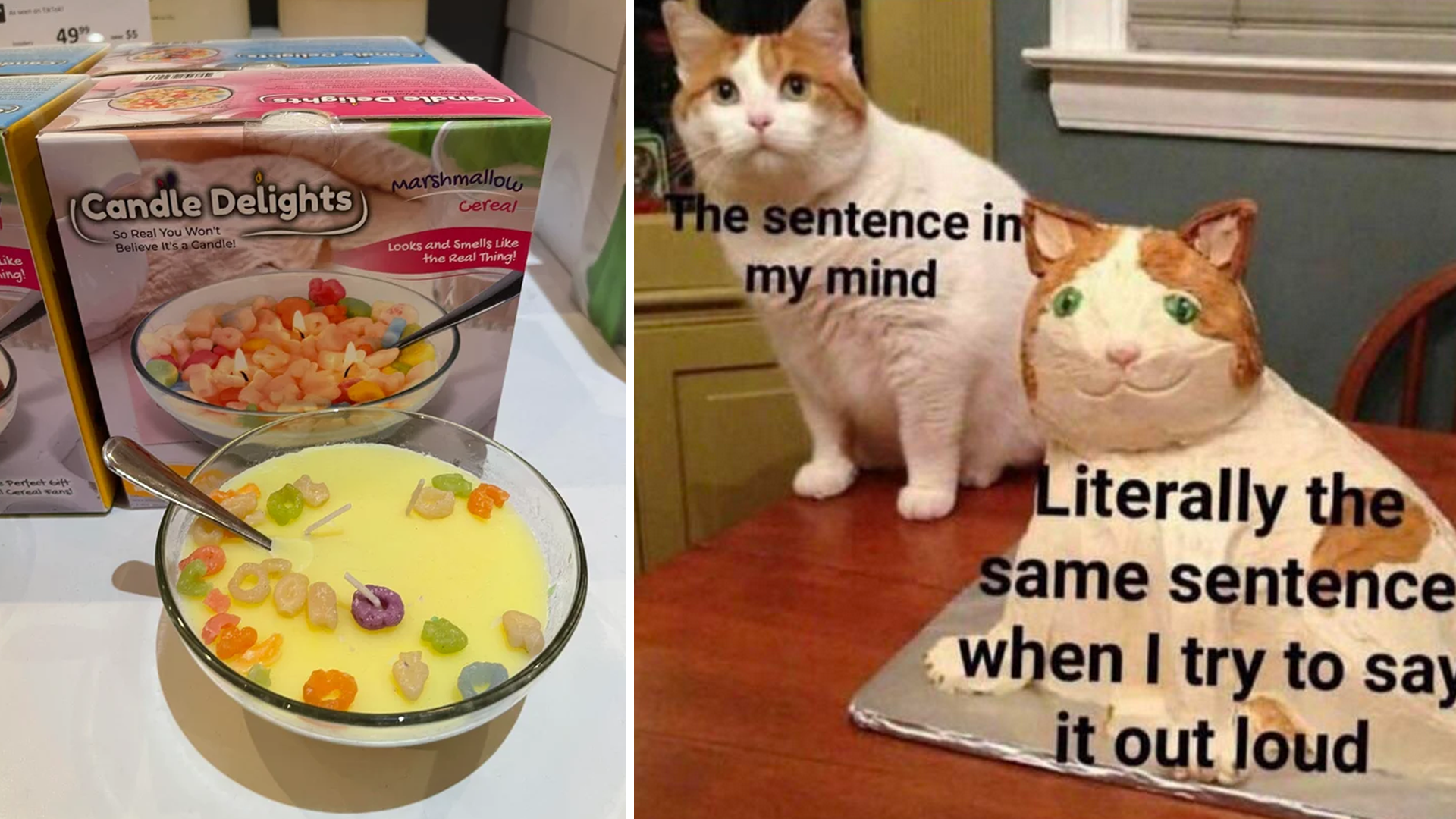 These Pictures Will Remind You To Always Keep Your Expectations Low ...