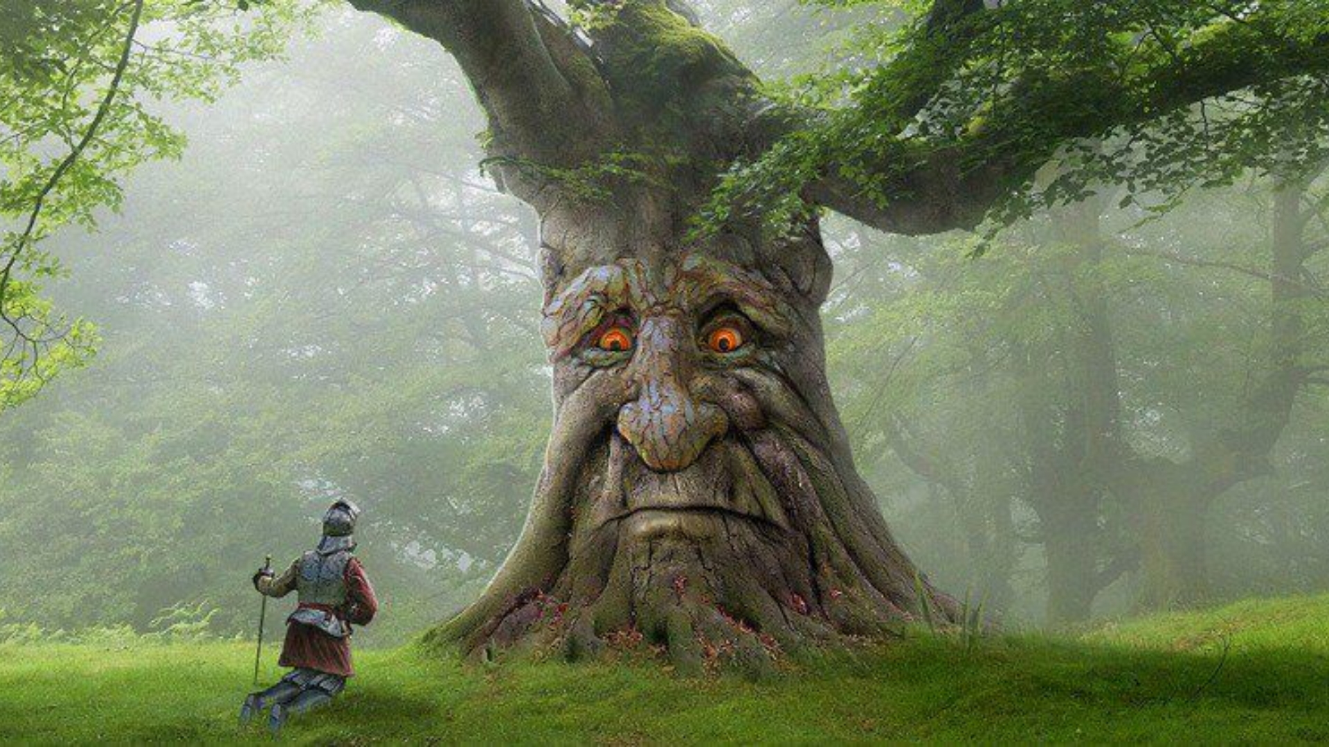 Where Did The Photo Of The Wise Mystical Tree Come From And What Does