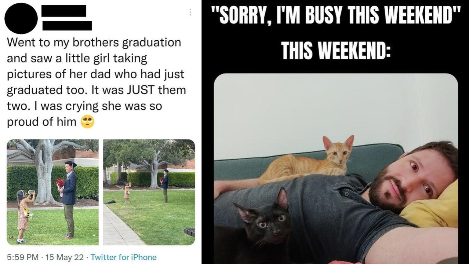 15 Random And Wholesome Memes Scrounged Up Around The Web | Know Your Meme