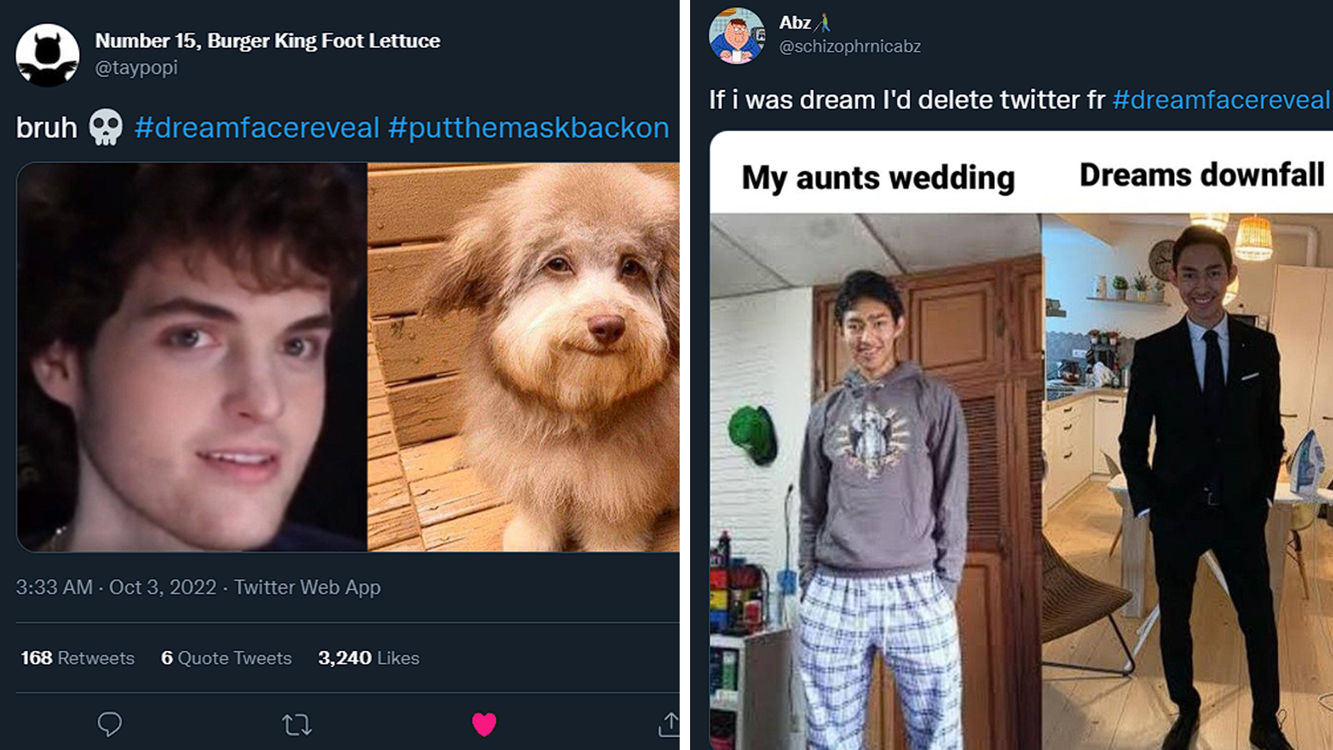12 Hilarious Twitter Memes About Dream's Face Reveal | Know Your Meme
