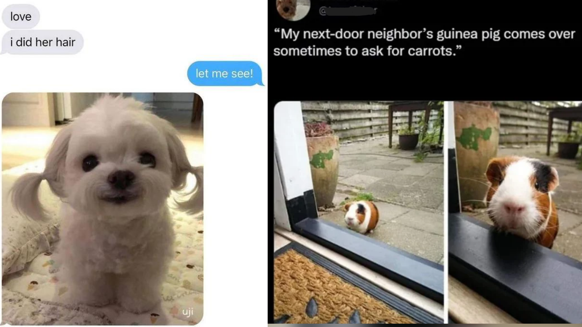 16 Images That Are Surely Going To Bless Your Day | Know Your Meme