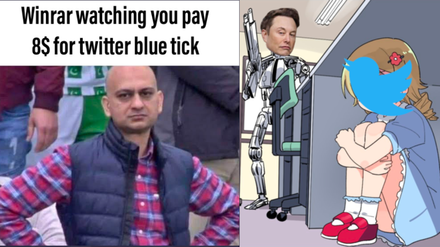 10 Memes About The Controversial New Twitter Verification System | Know ...