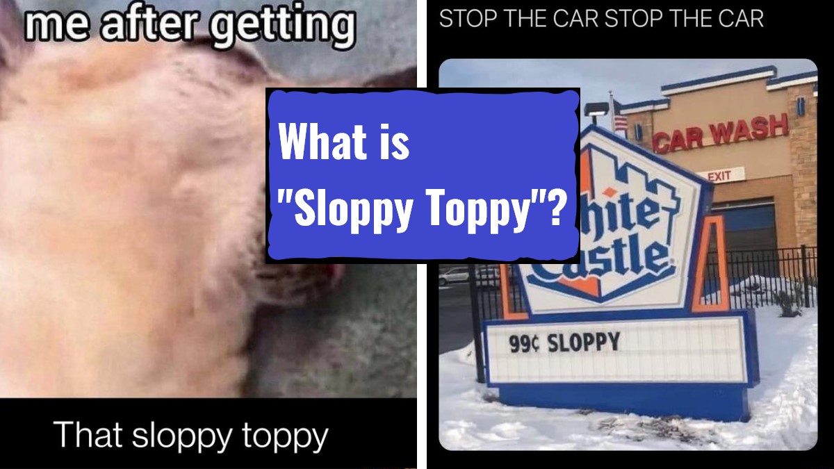 What Is The Meaning Of Sloppy Toppy And Why Is It Referenced In Memes