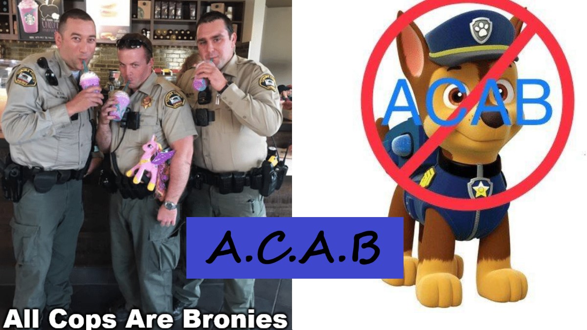 What Is 'ACAB' And Why Are So Many People Saying It? | Know Your Meme