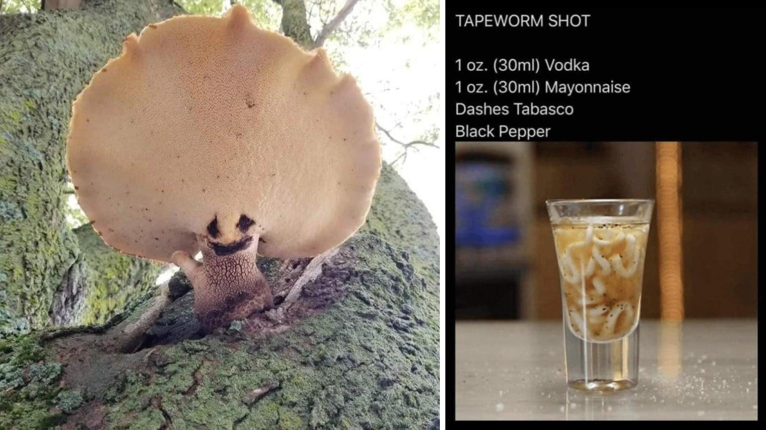 15 Terrifying Photos Of Relatively Ordinary Things | Know Your Meme