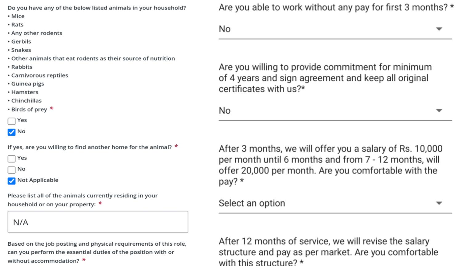 10 Frustrating Images Representing The Modern Job Application Process ...