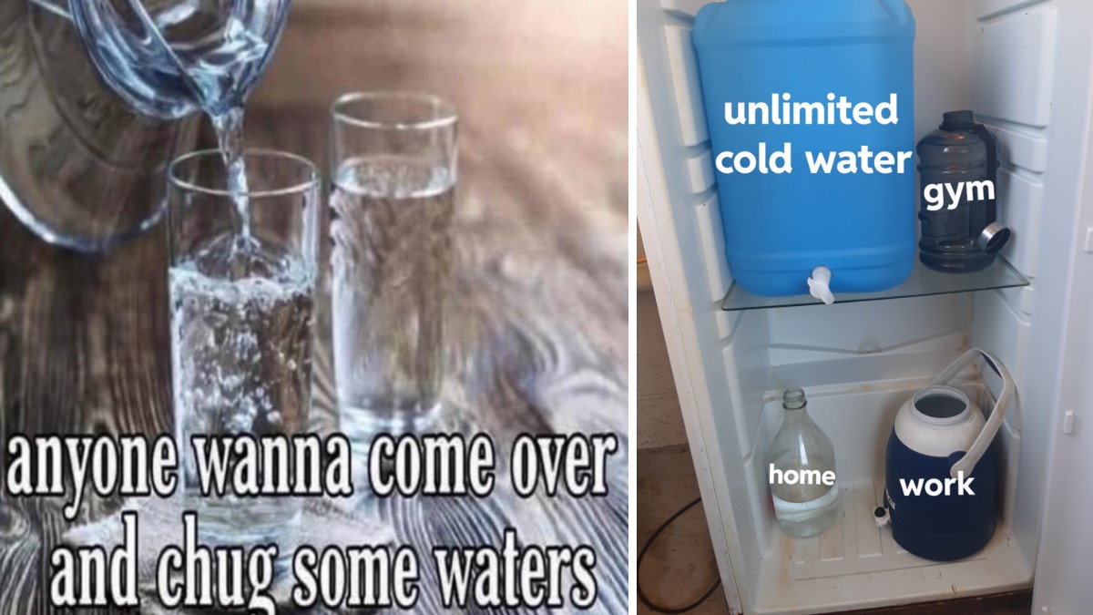 The 'Hydro Homies' Send These 15 Memes, Straight From The Tap | Know Your Meme