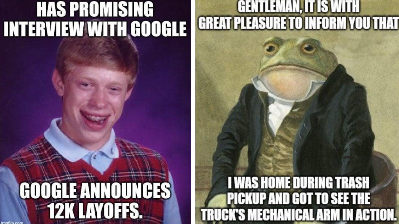 15 Modern Advice Animal Memes For 2025 | Know Your Meme