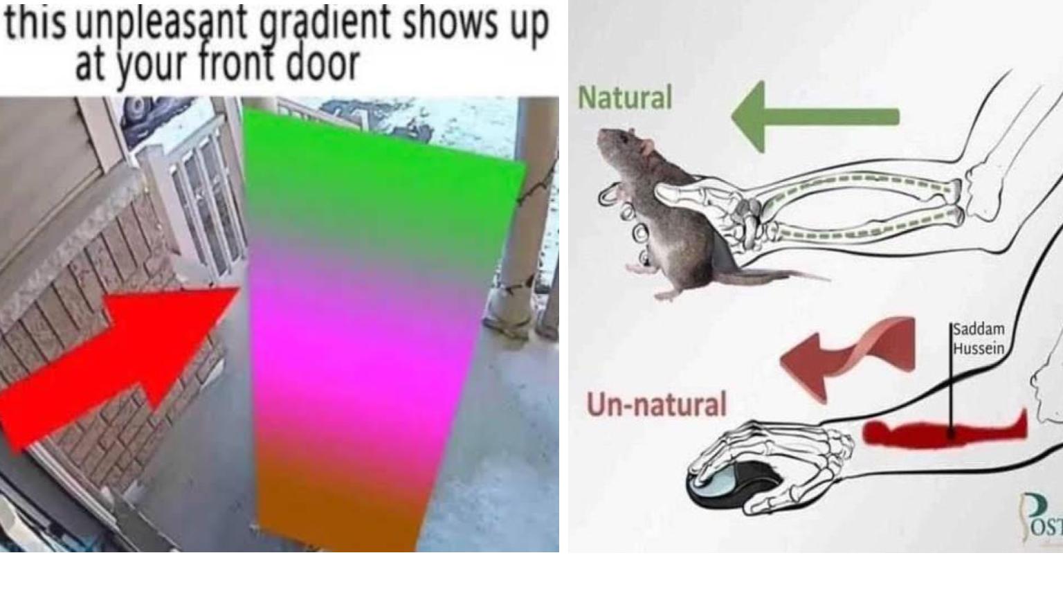 10 Surreal Memes For A Momentary Warp Of Humor | Know Your Meme