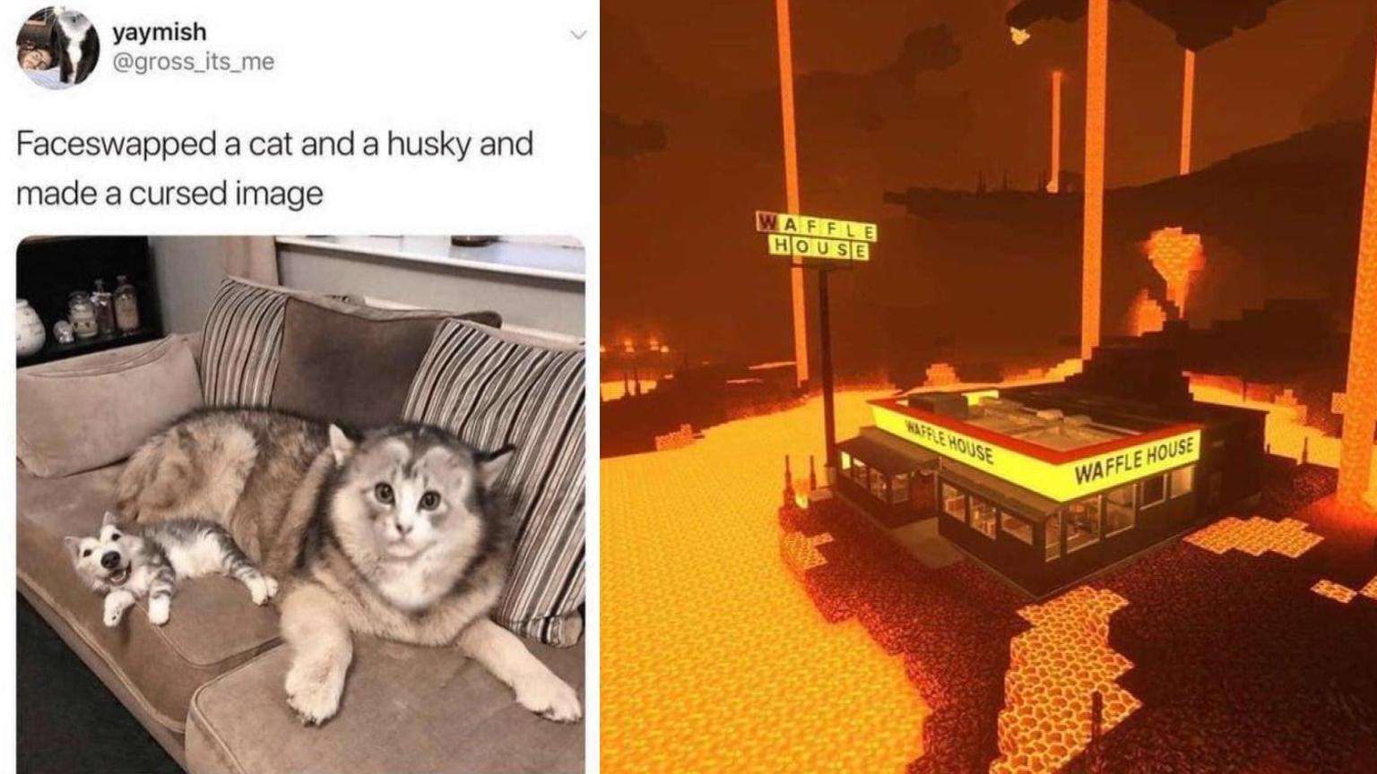 15 'Blursed' Images Full Of Bizarre Energy | Know Your Meme