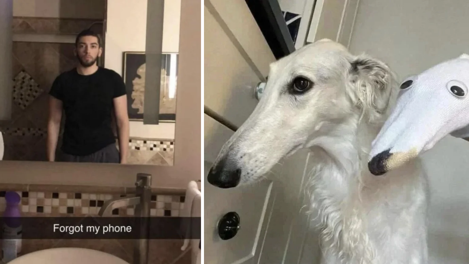 15 Blursed Images To Bless Your Cursed Day | Know Your Meme