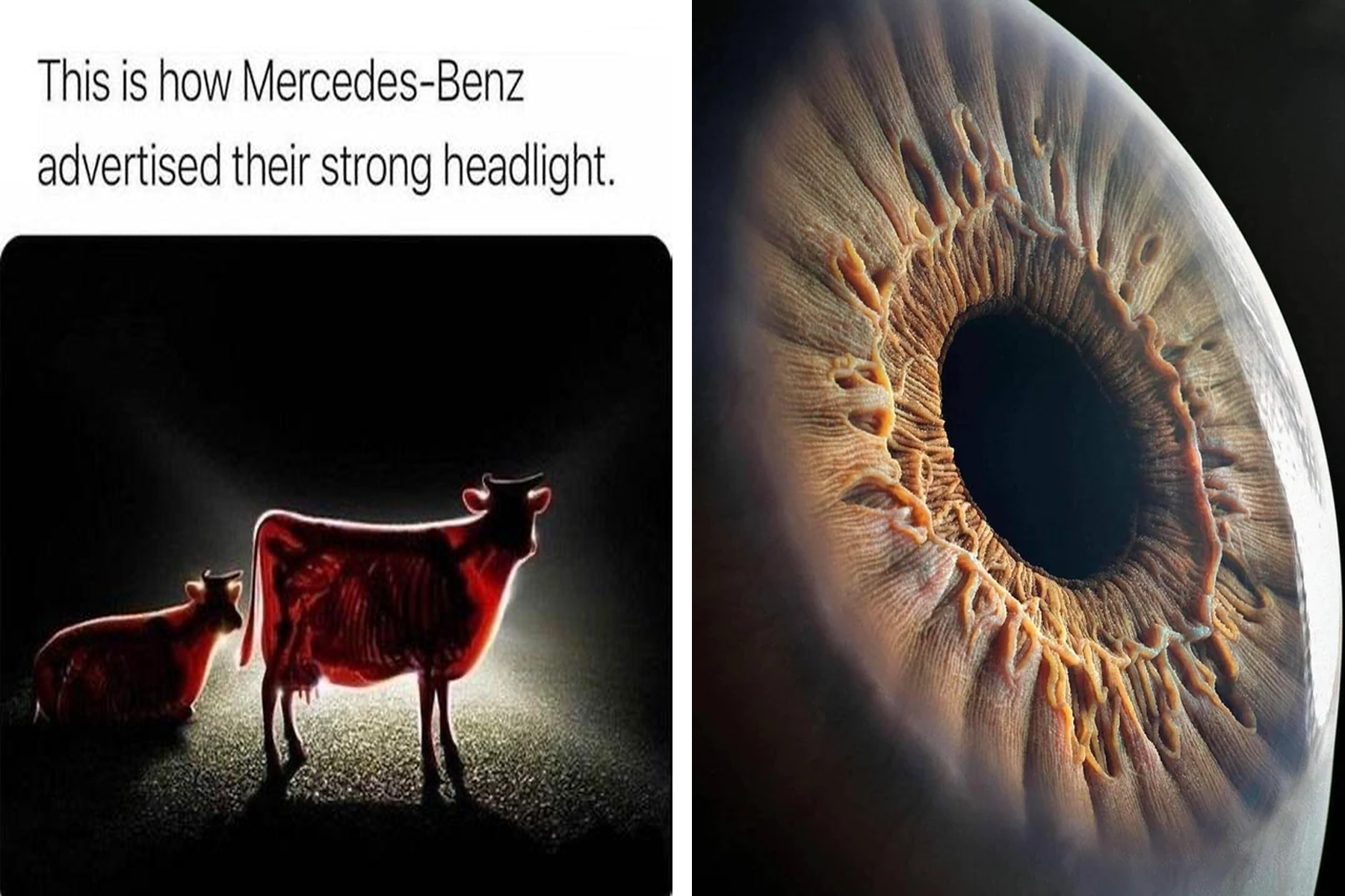 19 Eerie Photos To Keep You Up At Night | Know Your Meme