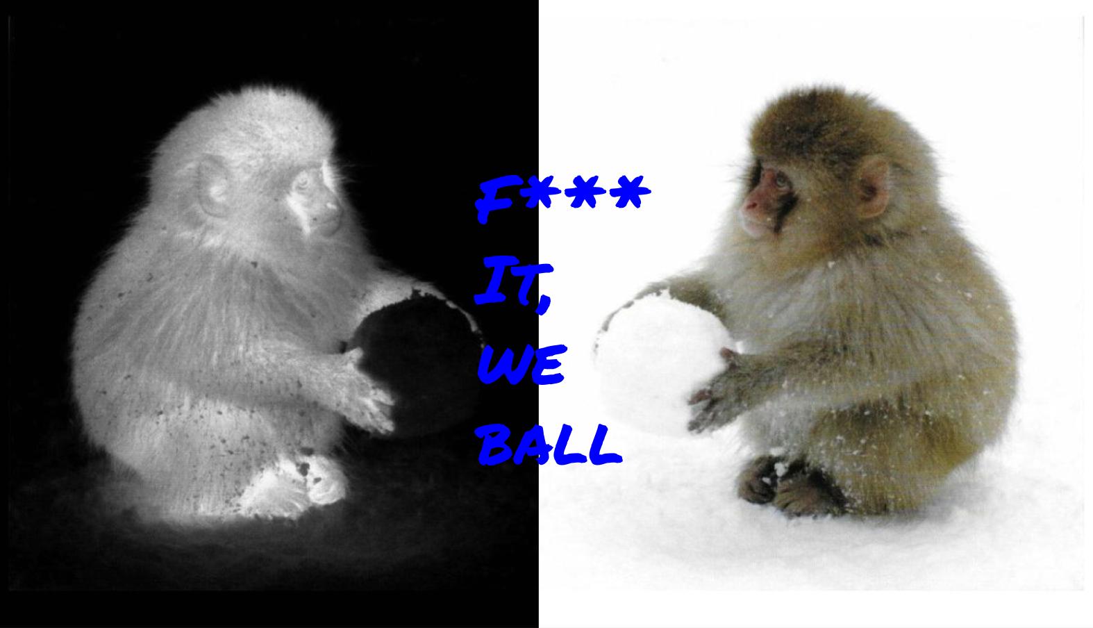 What Does 'F*** It We Ball' Mean? | Know Your Meme