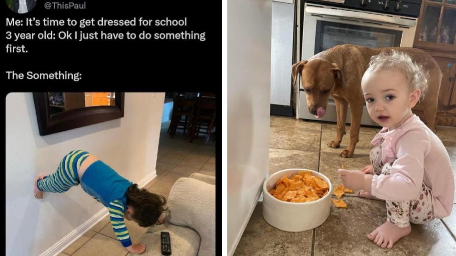 20 Dumb But Funny Moments Of Pure Childhood Ignorance | Know Your Meme