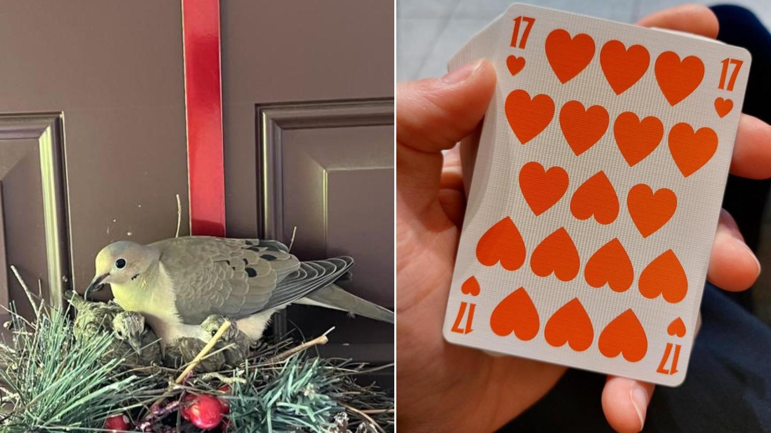 20 Mildly Interesting Images To Leave You A Little Intrigued | Know ...