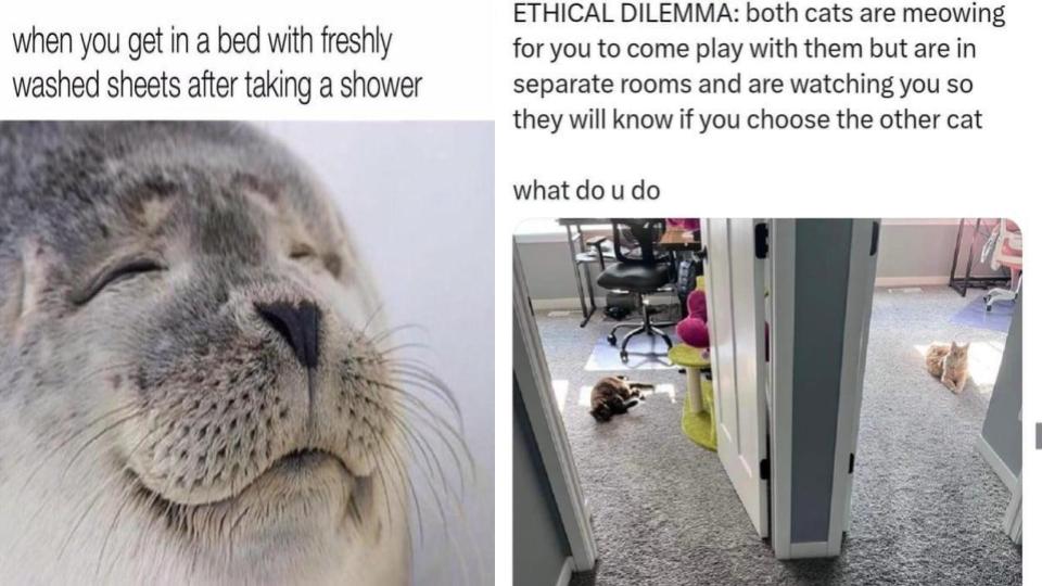 20 Wholesome Memes To Improve Your Day | Know Your Meme