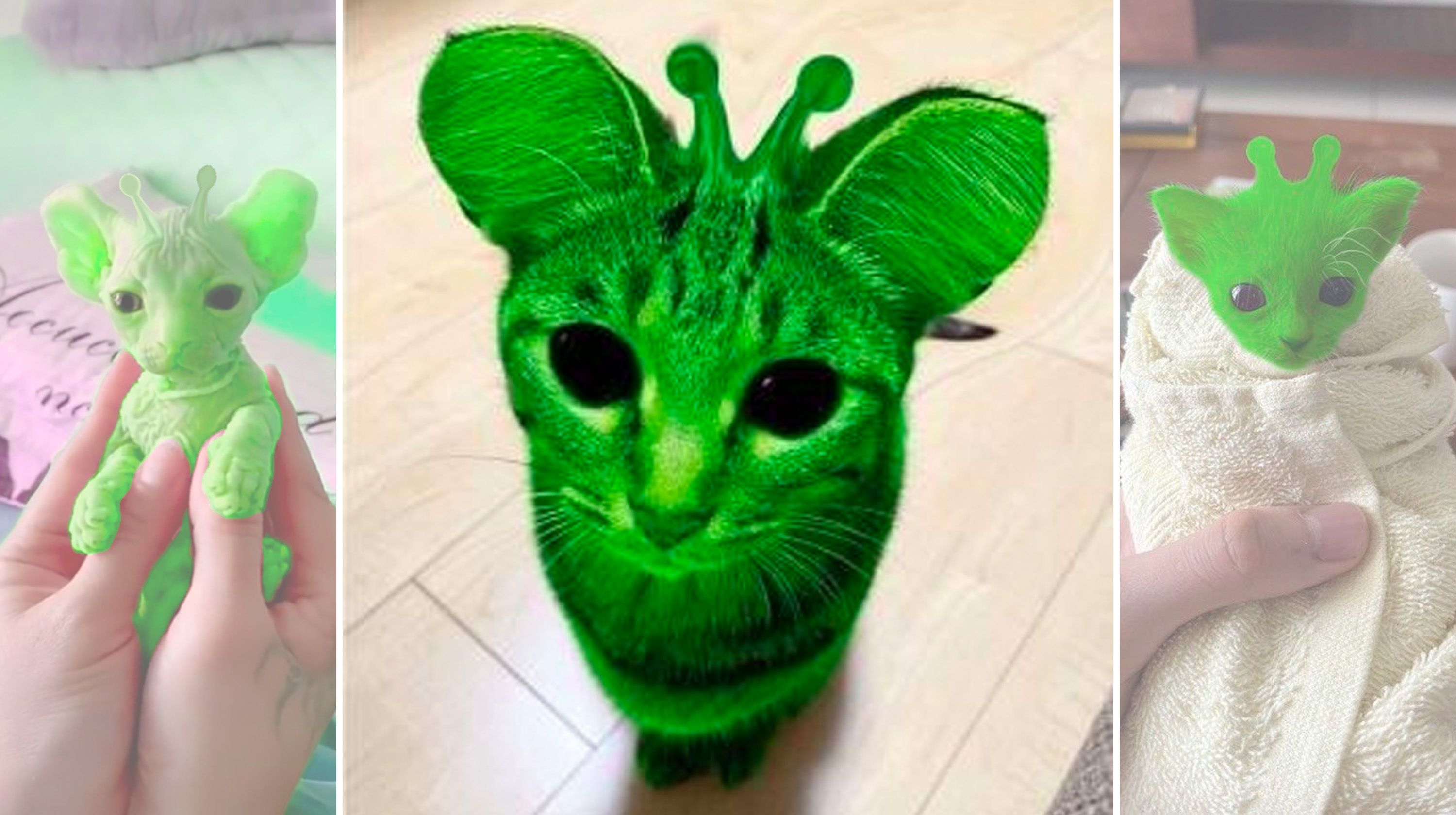 What Is 'Alien-Posting?' The 'Alien Memes' And Photoshopped 'Green ...