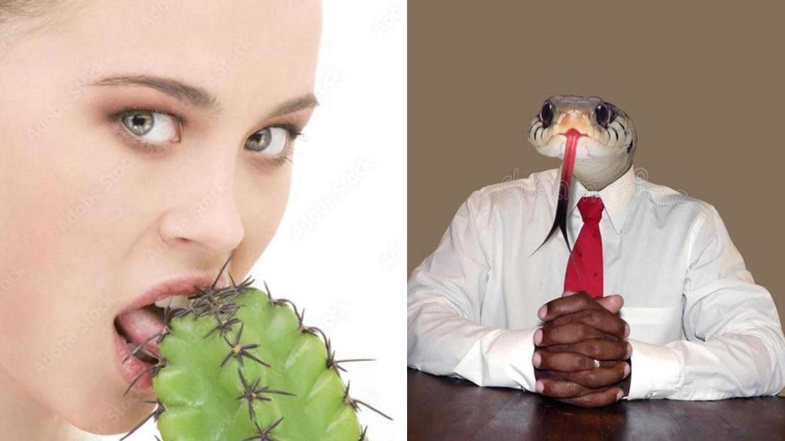 13 Weird Stock Photos That Might Not Be Very Useful | Know Your Meme