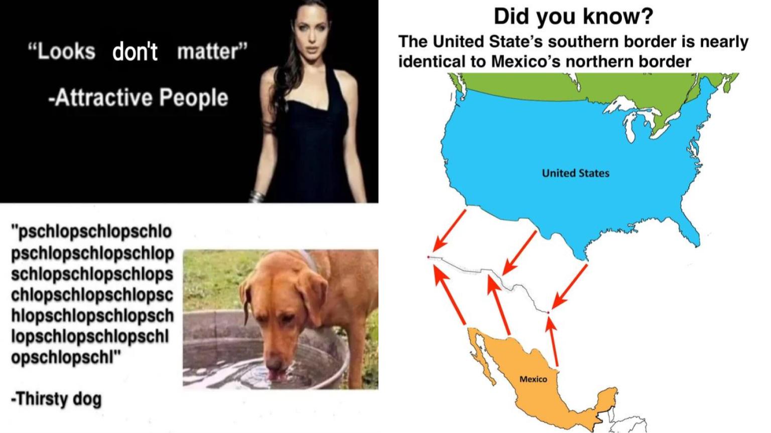 15 Memes That Defy Expectations With Ironic Punchlines | Know Your Meme