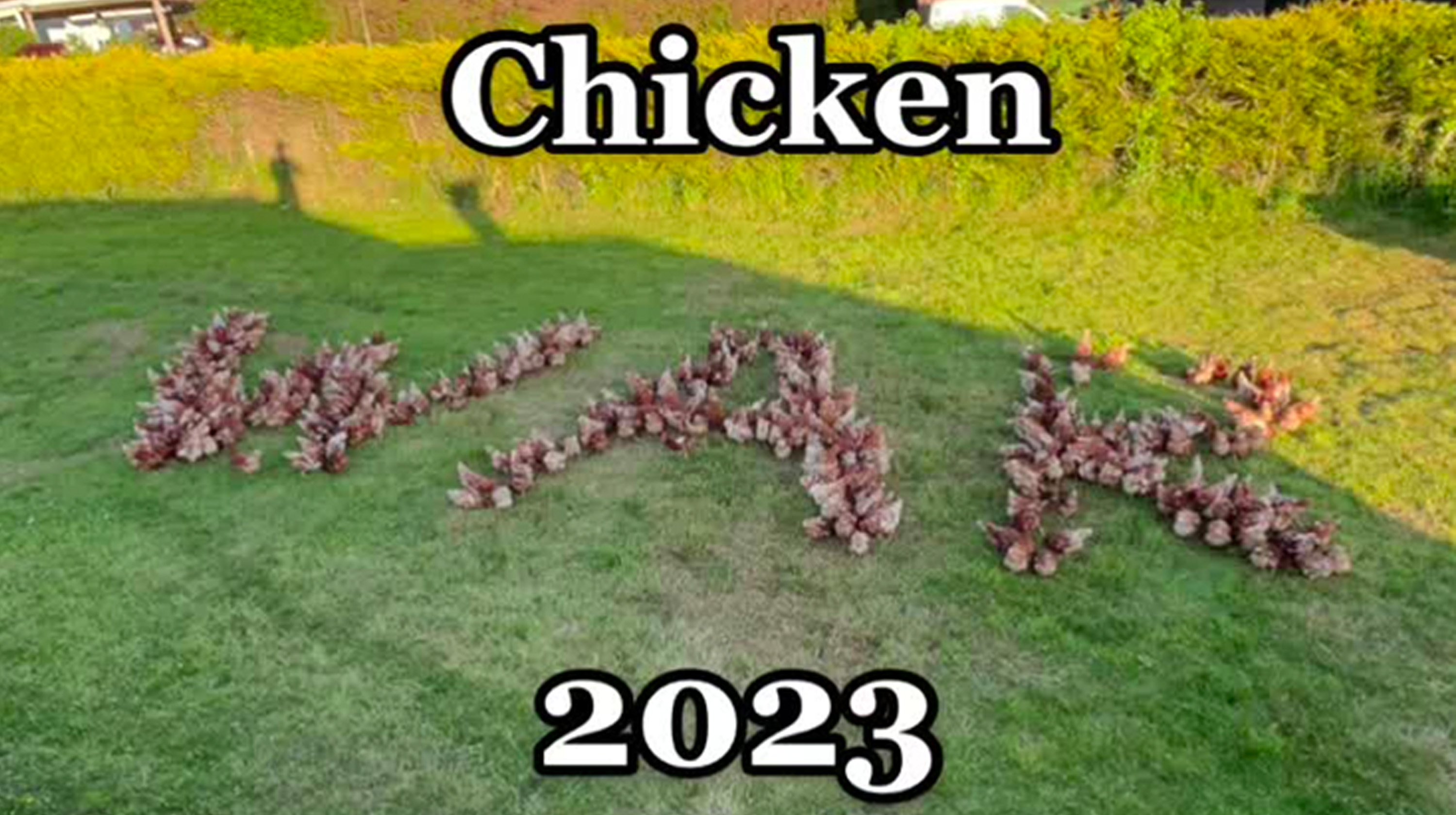 What's TikTok's 'Chicken War Of 2023?' The Viral Trend Explained | Know ...